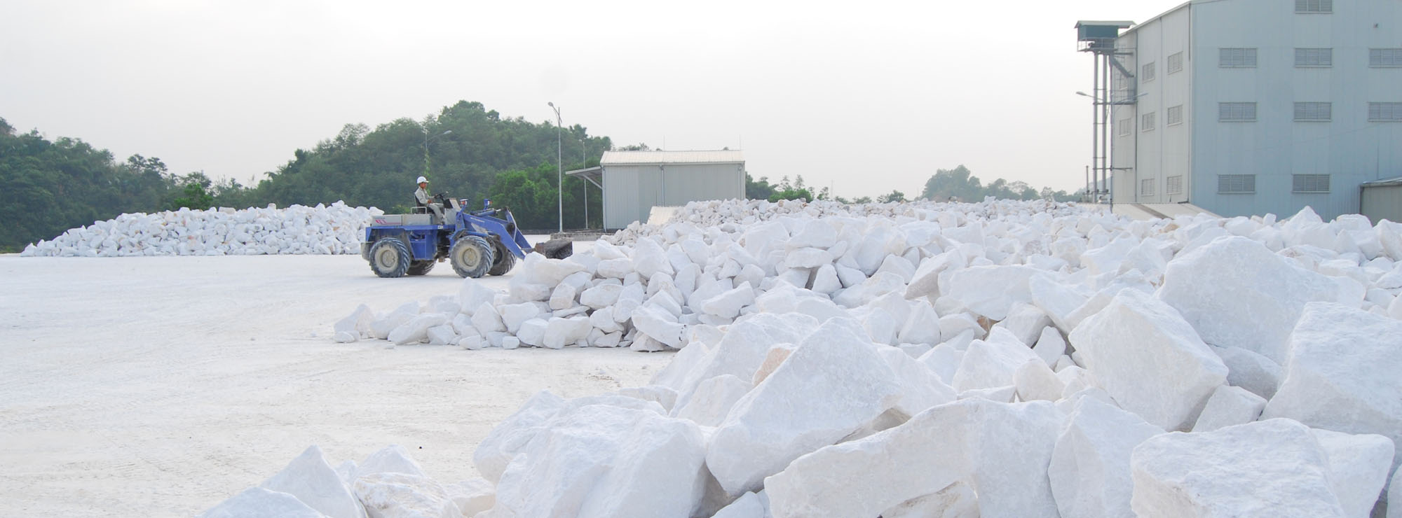 Paper made from stone is transforming the paper industry - 311 Institute