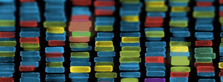 Scientists lay out plans to build an artificial human genome by 2036 ...
