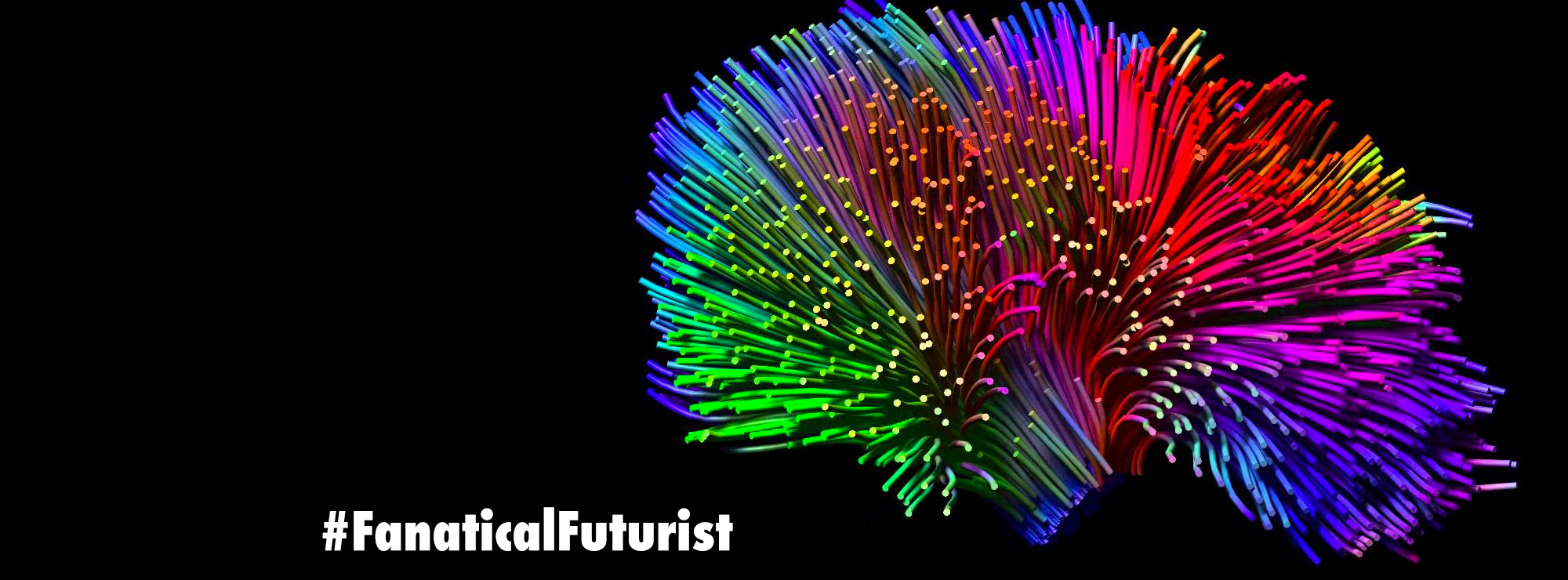 Revolutionary algorithm will soon let scientists simulate the entire human brain - 311 Institute