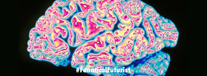 Human mini brains grown in a lab integrated with live mice brains - 311 ...