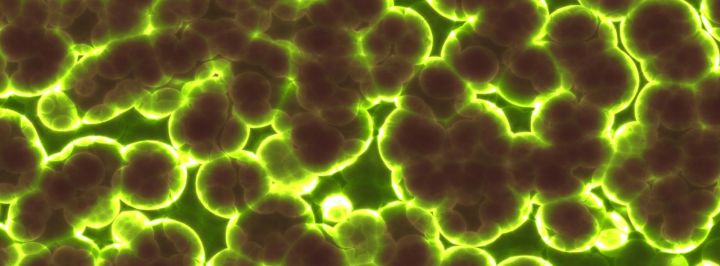 Paper based bio-battery uses bacteria to power the internet of things ...
