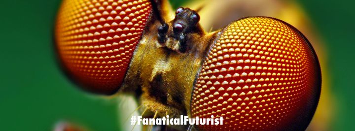 DARPA announces plans to build conscious robots using insect brains ...