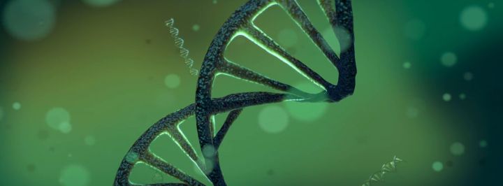 Researchers unveil the world’s first programable DNA computer prototype ...