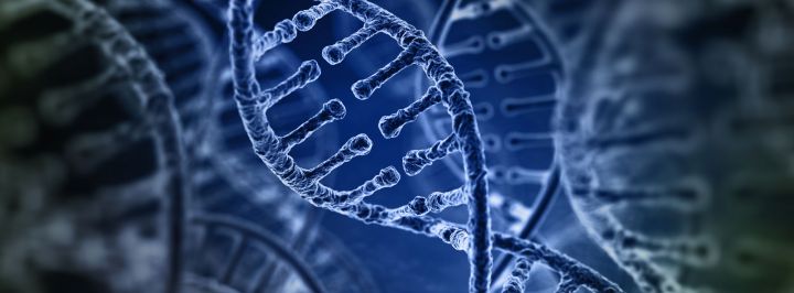 Microsoft have created an all in one desktop DNA storage device - 311 ...