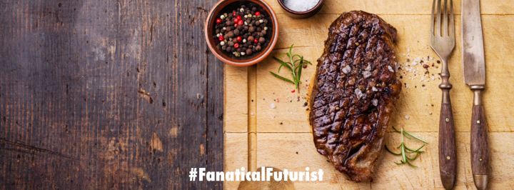 Aleph Farms serves up the world's first lab grown steak - 311 Institute