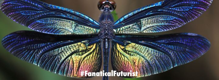 AI researchers clone dragonfly brains to create better missile defences ...