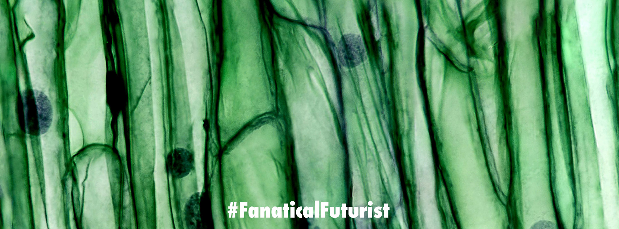 Scientists have created a living material that has the three signs of ...