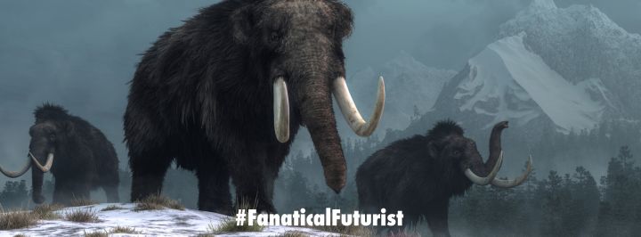 Scientists bring 28,000 year old woolly mammoth cells back to life ...