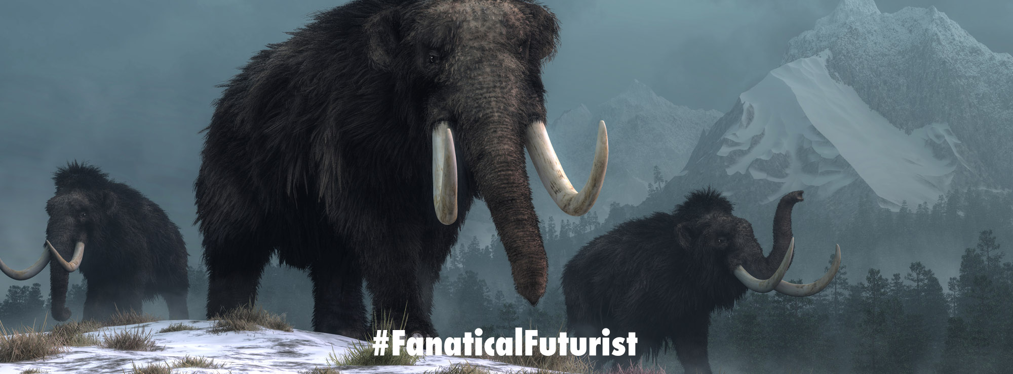 Scientists bring 28,000 year old woolly mammoth cells back to life ...
