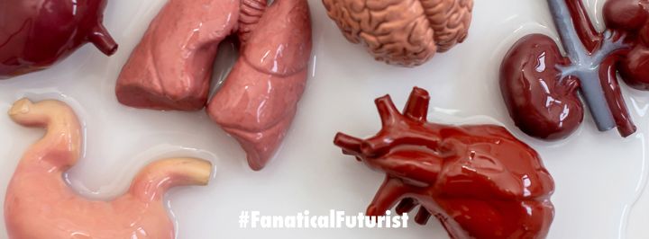 4D Bio-Printing emerges to help scientists print better human organs ...