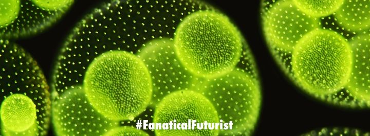 German scientists just created the world’s first self-replicating ...