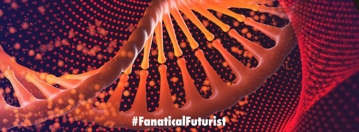 Quadruple stranded DNA seen in human cells for the first time - 311 ...