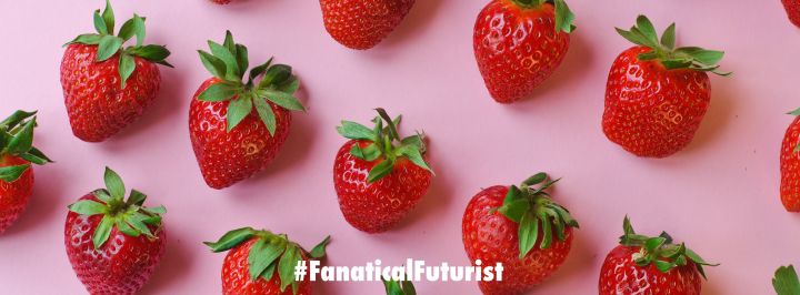 Edible electronics tattooed onto your food could track both your food ...