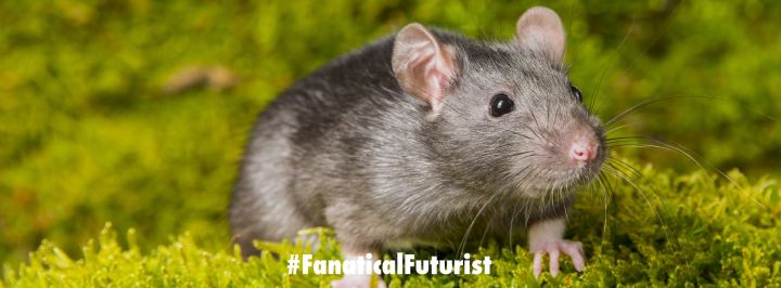 Designer Cytokines help paralysed mice walk again - 311 Institute