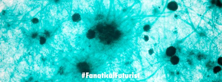 Genetically engineered barcoded spores could help improve food safety ...