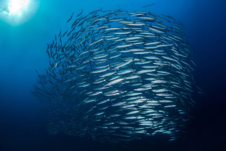 The Future Of Water: Future Of Water Resources | 311 Institute