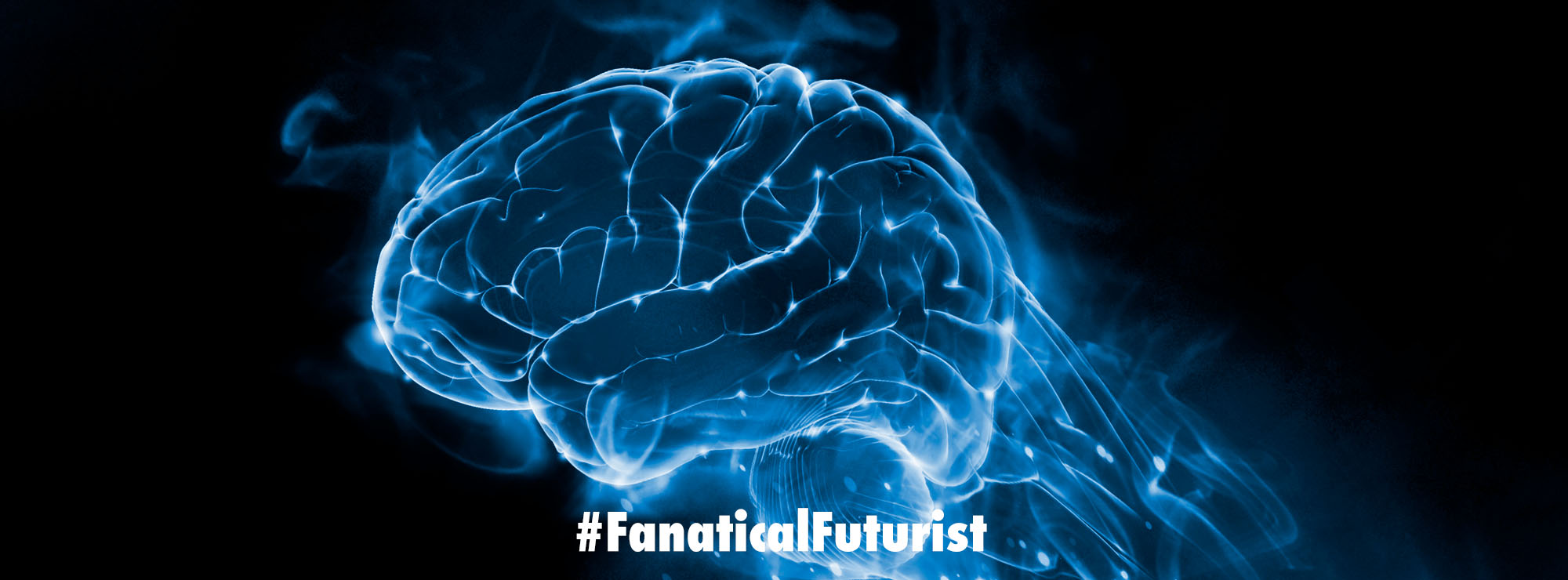 Researchers networked animal brains together to create an organic ...