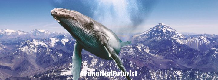 After decades in the shadows Flying Whales is bringing back the mighty ...