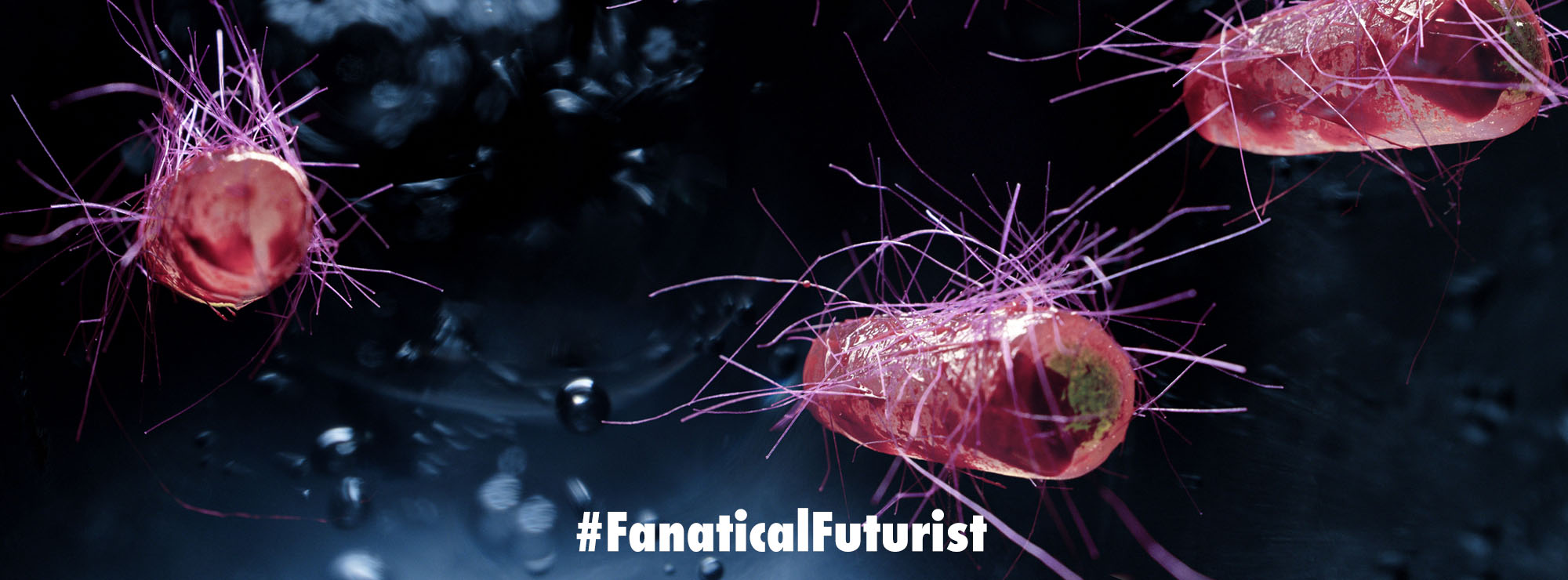 Scientists used CRISPR to create a superbug resistant to all viruses on ...