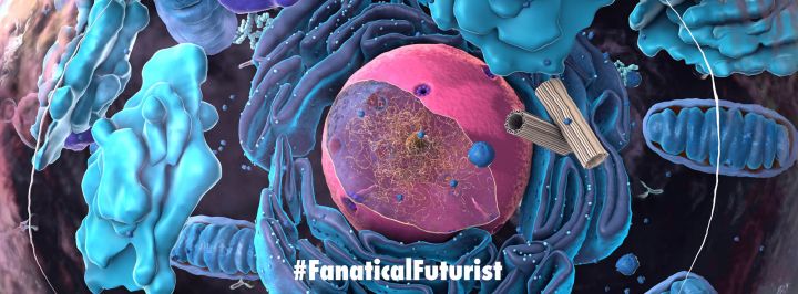 In a world first researchers created a digital cell that grows like the ...