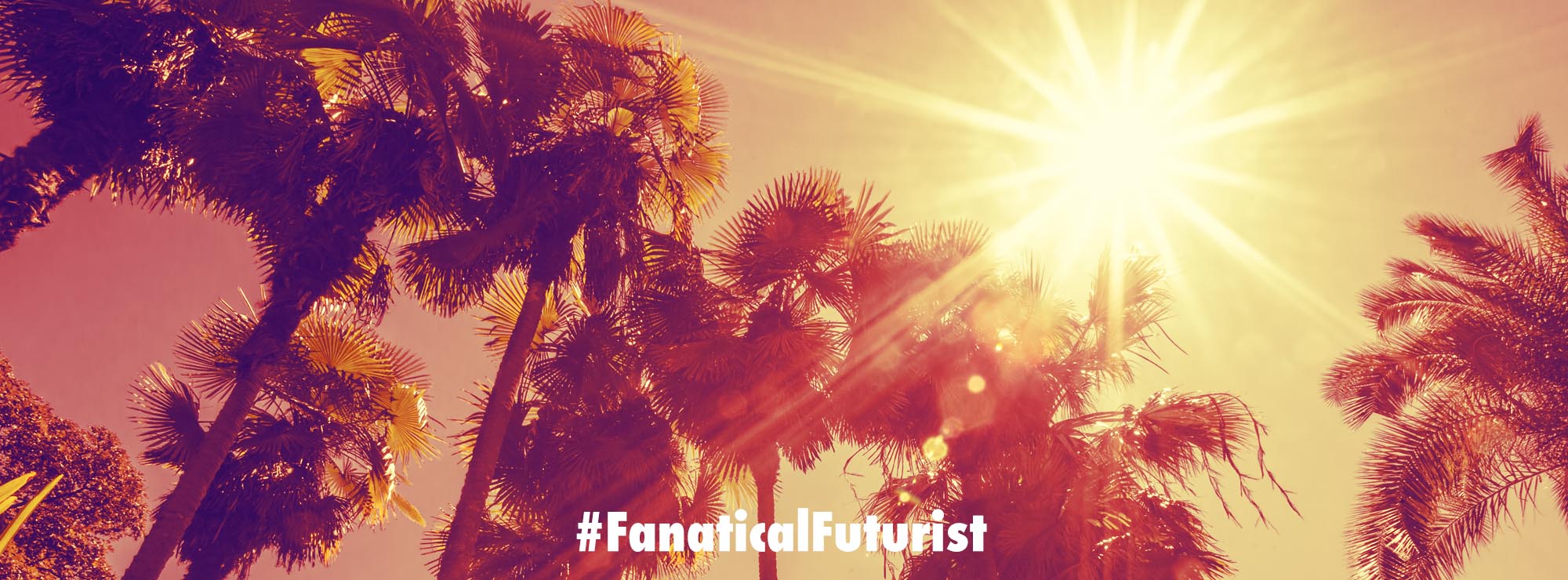 Miami appoint world's first Chief Heat Officer to protect the city from ...