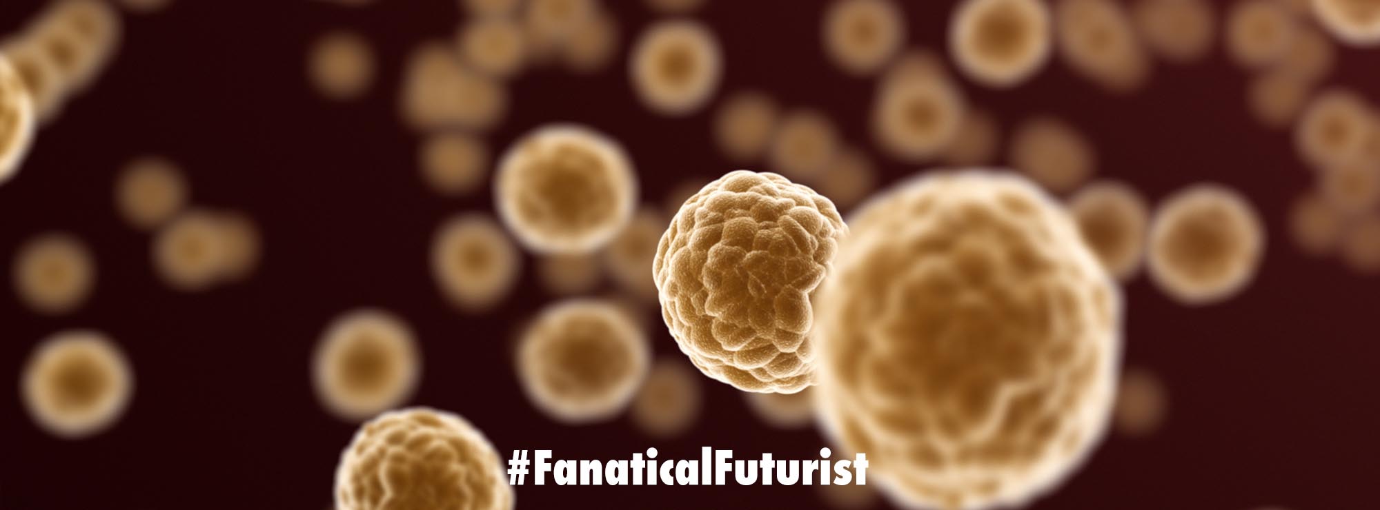 The world's smallest synthetic lifeform can now move by itself - 311 ...