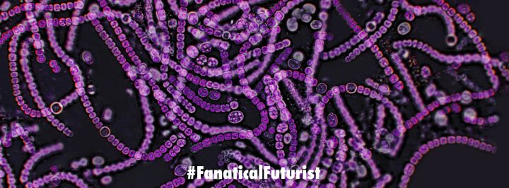 Researchers discover a new molecule that slays over 300 kinds of drug ...