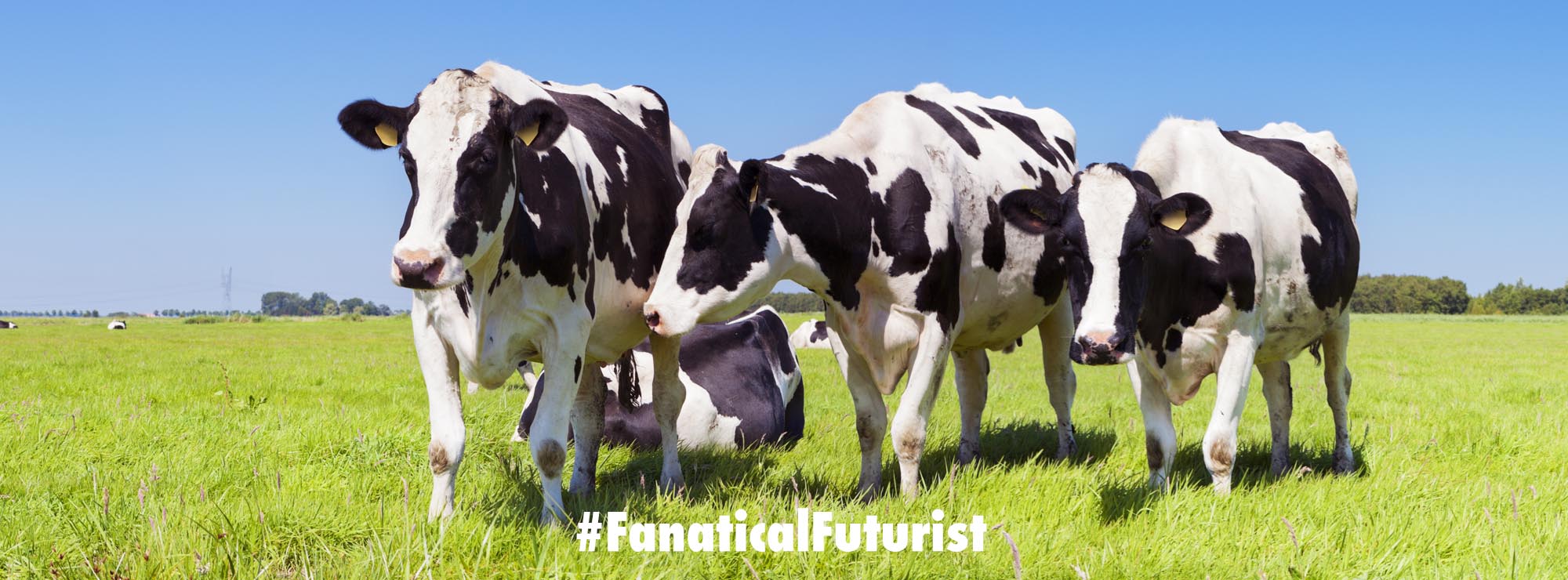 Cows get cancelled as whipped cream without the cow becomes a reality ...