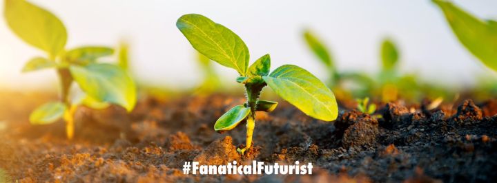 Researchers turn plants into biological computers to grow better crops ...