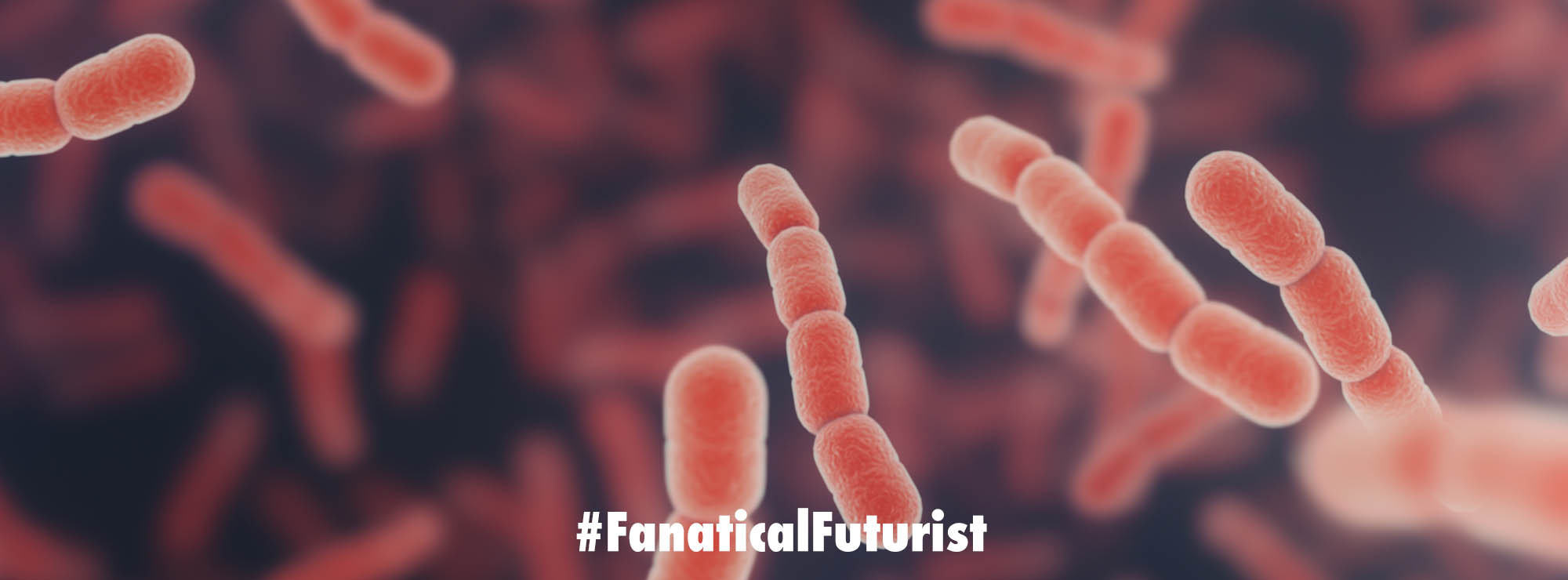 These bacteria eat plastic waste and turn it into useful products - 311 ...