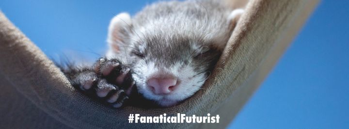 Apple quietly launches its multi modal AI LLM rival called Ferret - 311 ...