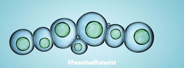 First living robots made from human cells surprise scientists - 311 ...