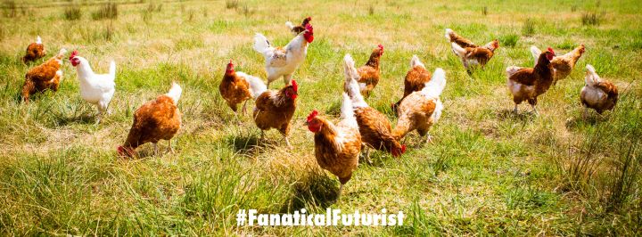 Scientists are using AI to create universal translators for chickens ...