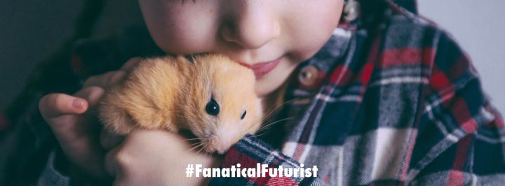 Gene edited hamsters turned into aggressive bullies in unexpected lab ...