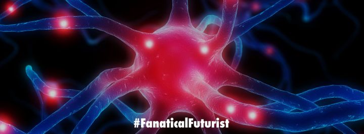 Neuralink competitor uses real human neurons to improve their BMI – 311 ...